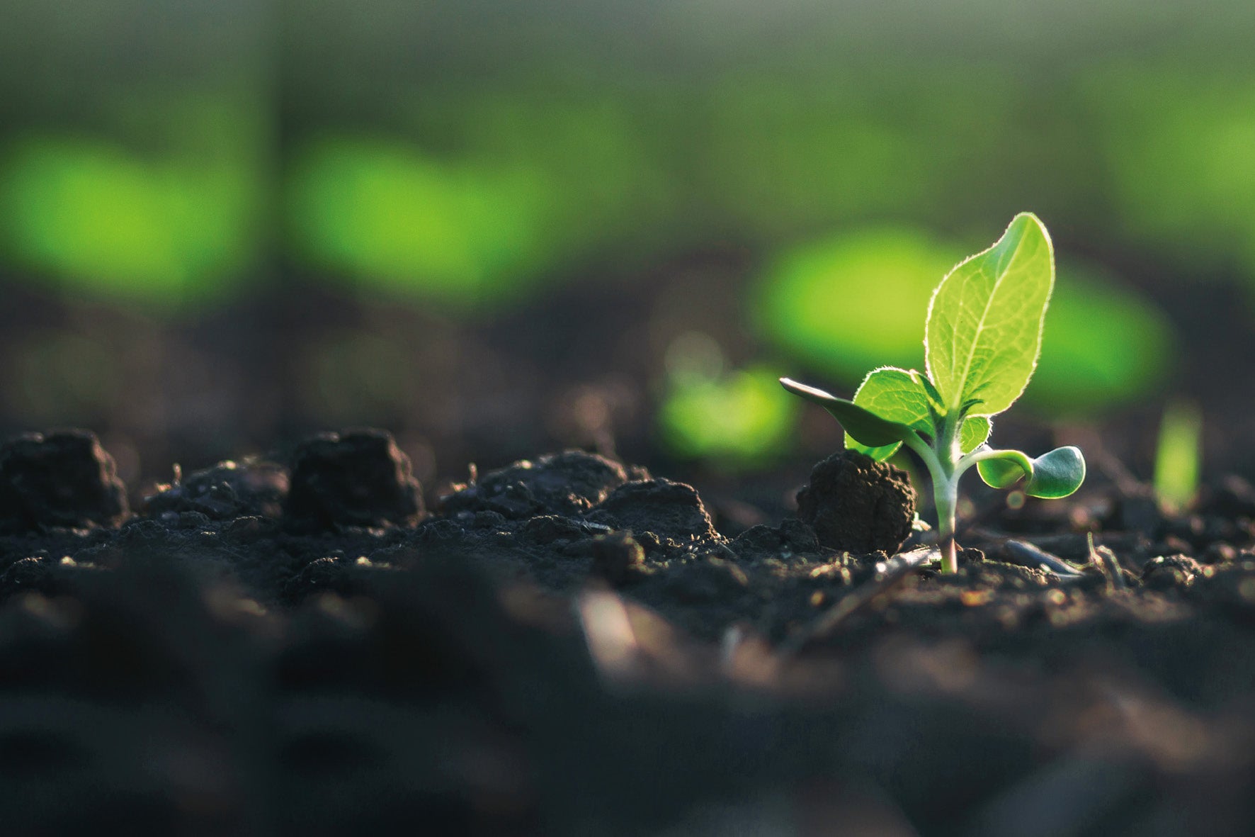 ECOREADERS Sustainable Reading Glasses