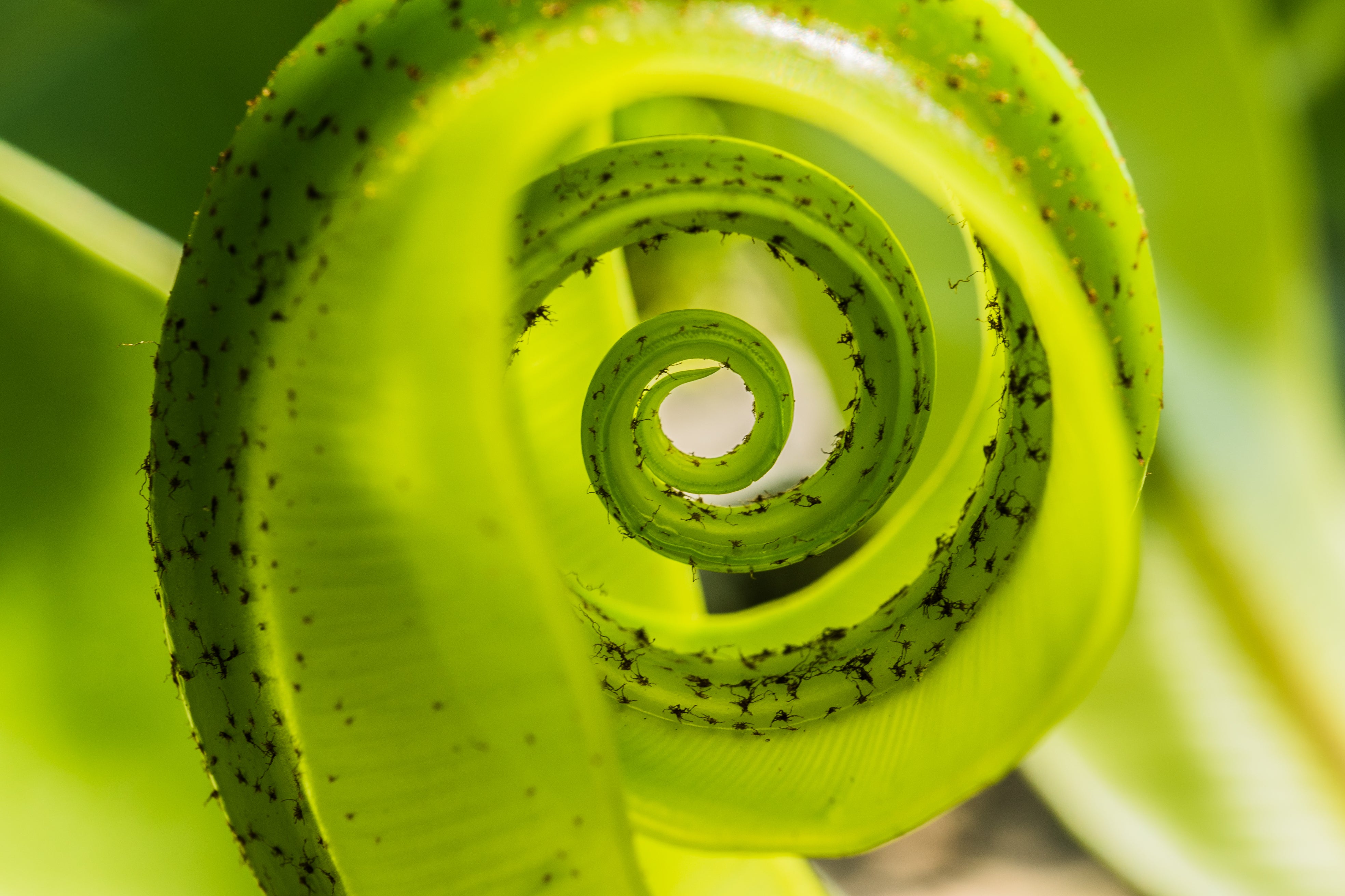 ECOREADERS Sustainable Reading Glasses